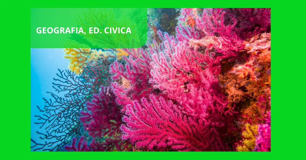 Biomi a rischio: la barriera corallina